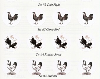 Donkey Burro Stickers One Inch Round Seals - Etsy