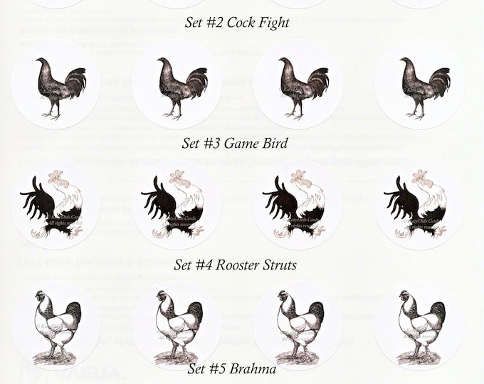 Chicken Rooster Stickers One Inch Round Seals - Etsy