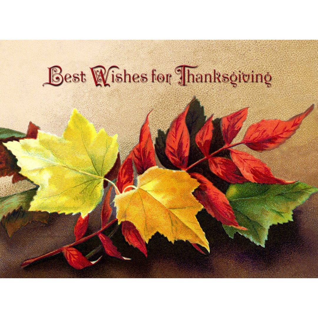 Thanksgiving Card - Fall Leaves Autumn Holiday Decor - Etsy
