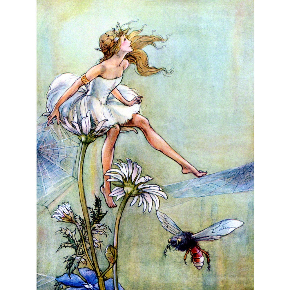 Fairies Sitting On Flowers
