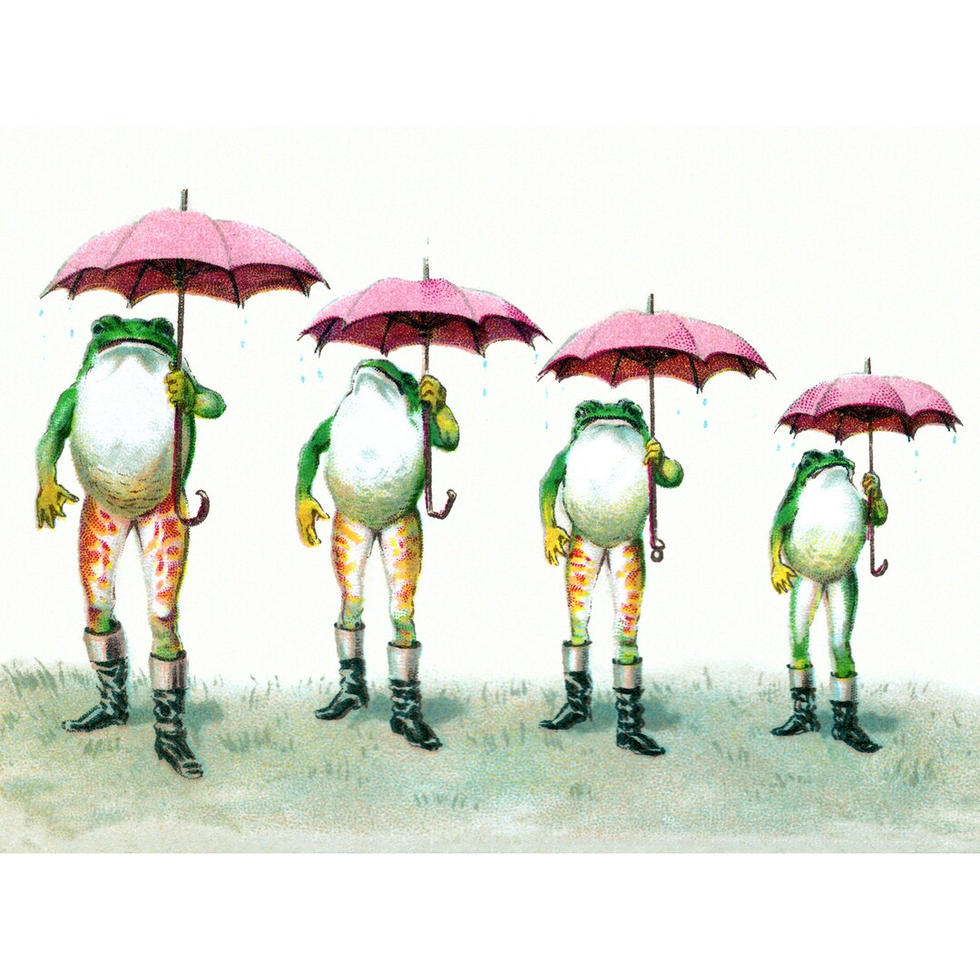 Frogs With Umbrellas and Boots Card - Funny Frog Artwork - Etsy