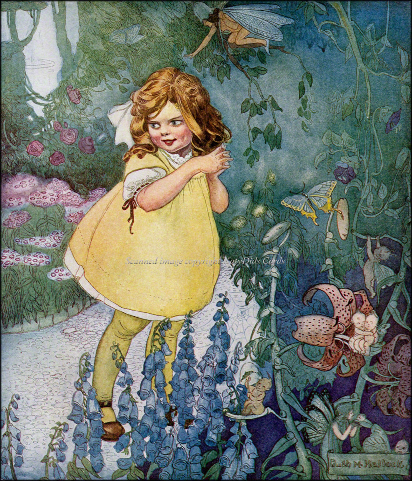 Flower Fairies Girl Repro Greeting Card Ruth Hallock Garden | Etsy
