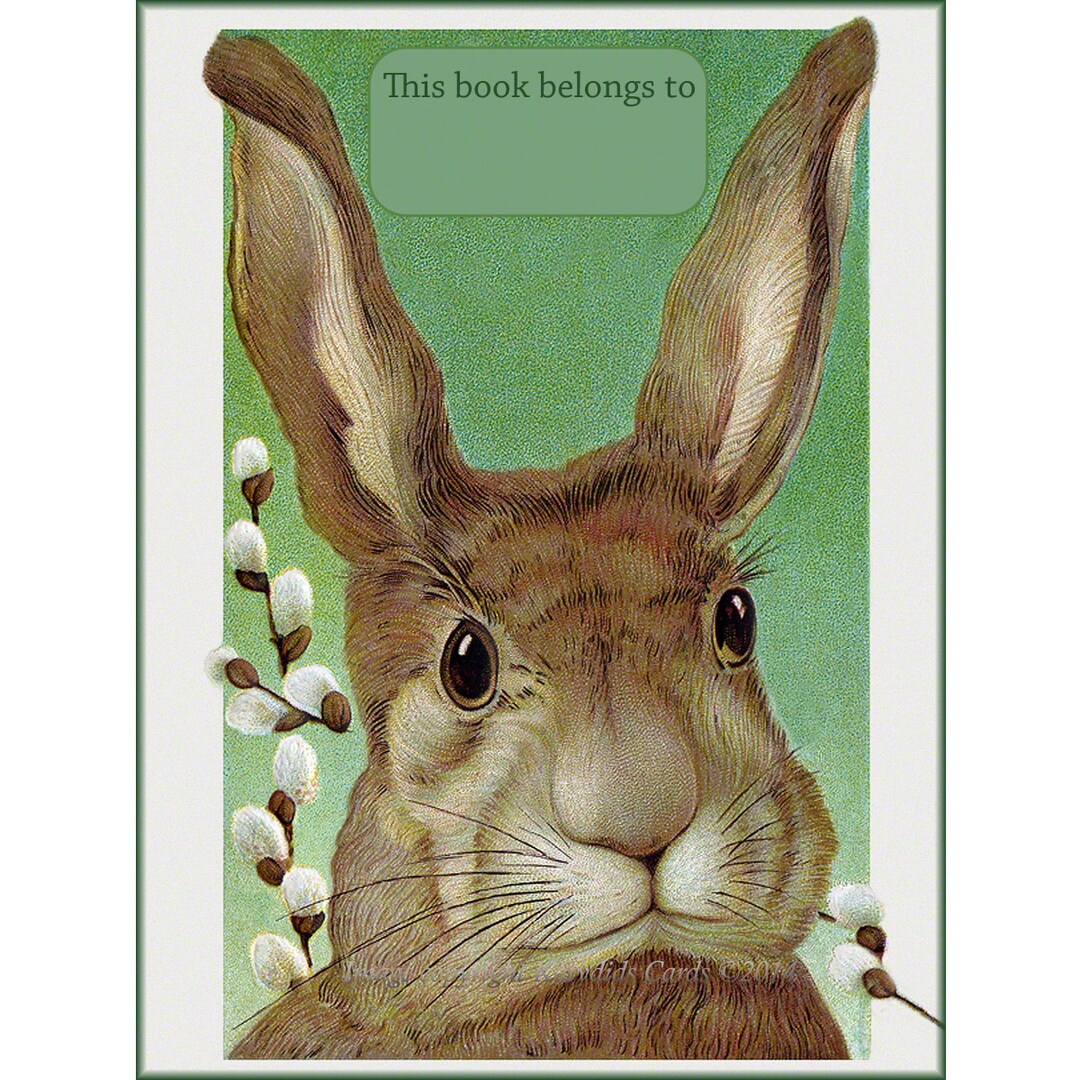 Bunny Rabbit Bookplates - Self Stick or Acid Free - Big Bunny With ...
