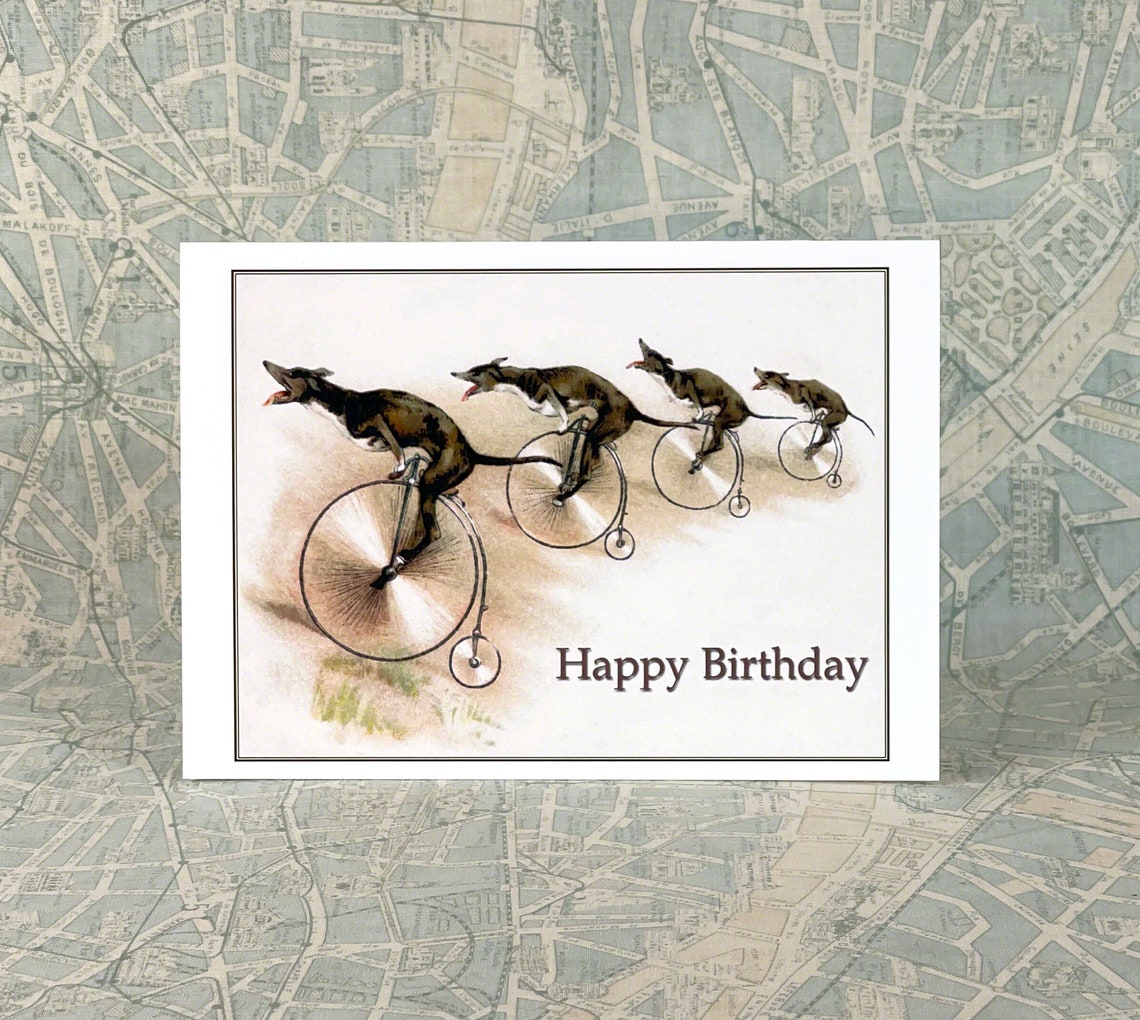 Dogs on Bikes Greeting Card Greyhounds in a Race - Etsy