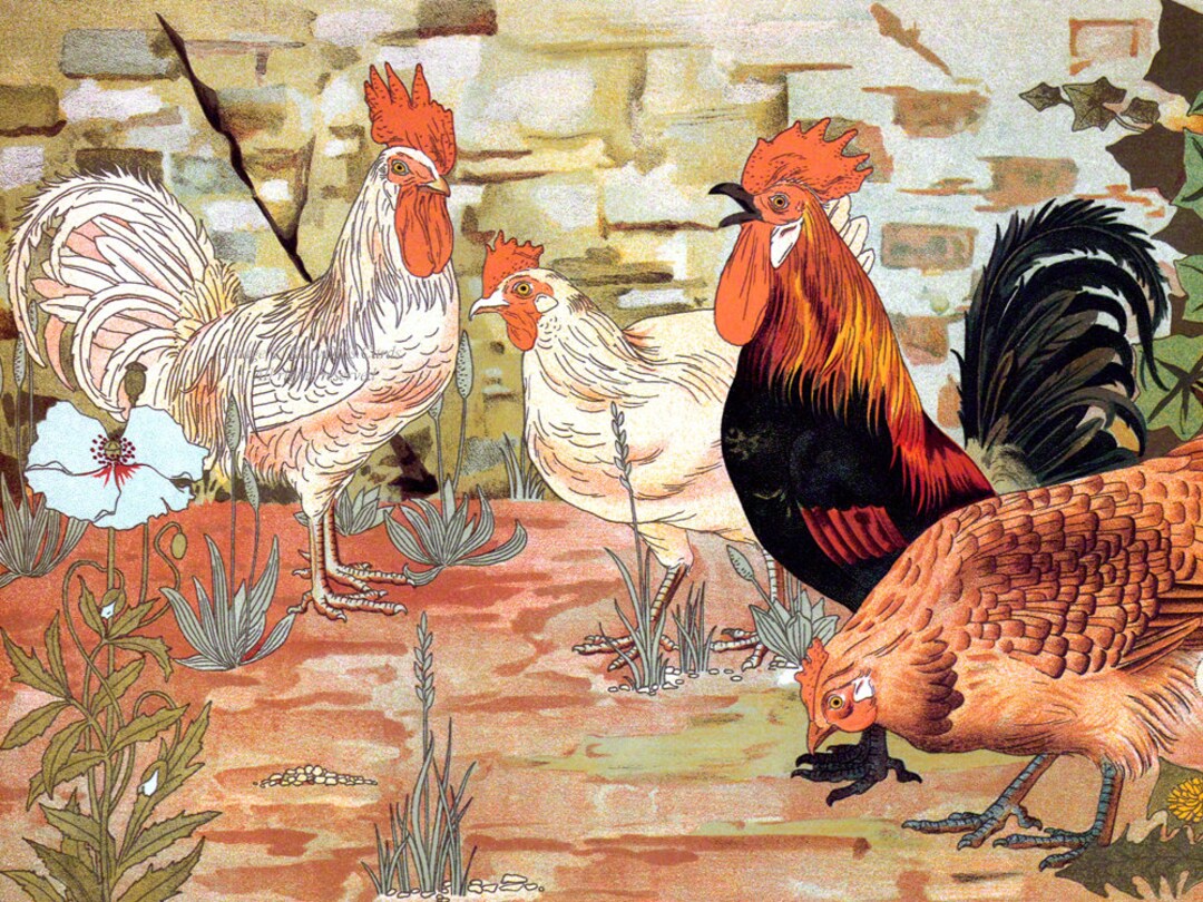 Chicken Card - Roosters and Hens in the Barnyard - Maurice Verneuil ...