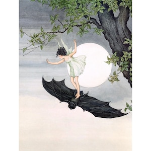Fairy Card - the Witch's Sister Rides a Bat - Halloween Notecard ...