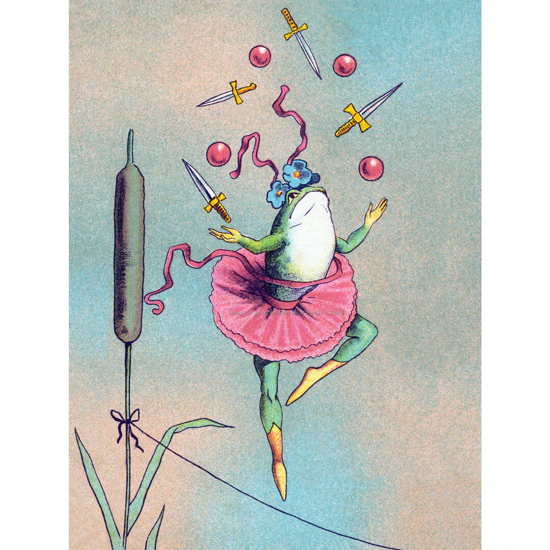 Funny Frog Card Juggling Acrobat in Tutu on High Wire Circus Performer ...