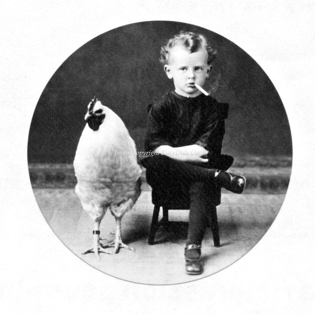 Chicken Boy Stickers Child Smokes Cigarette W Rooster Set of Eight 1.5 ...