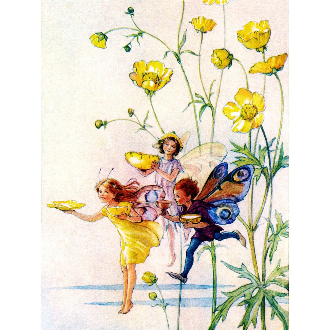 Flower Fairy Card - Fairies Use Buttercups - Art Outside and in - Repro ...
