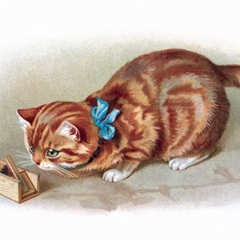 Helena Maguire Cats - Etsy