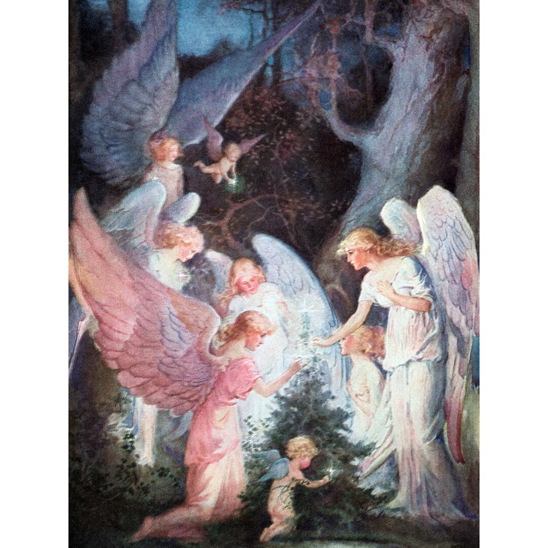Christmas Card - Angels Put Stars on Tree in the Woods - Soft Focus ...