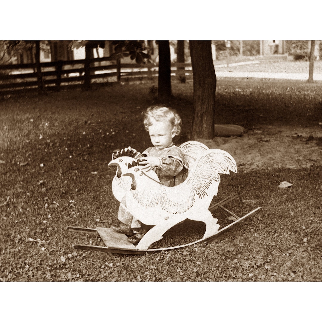 Chicken Card - Girl Rides Roosters - Toddler on Riding Toy - Birthday ...