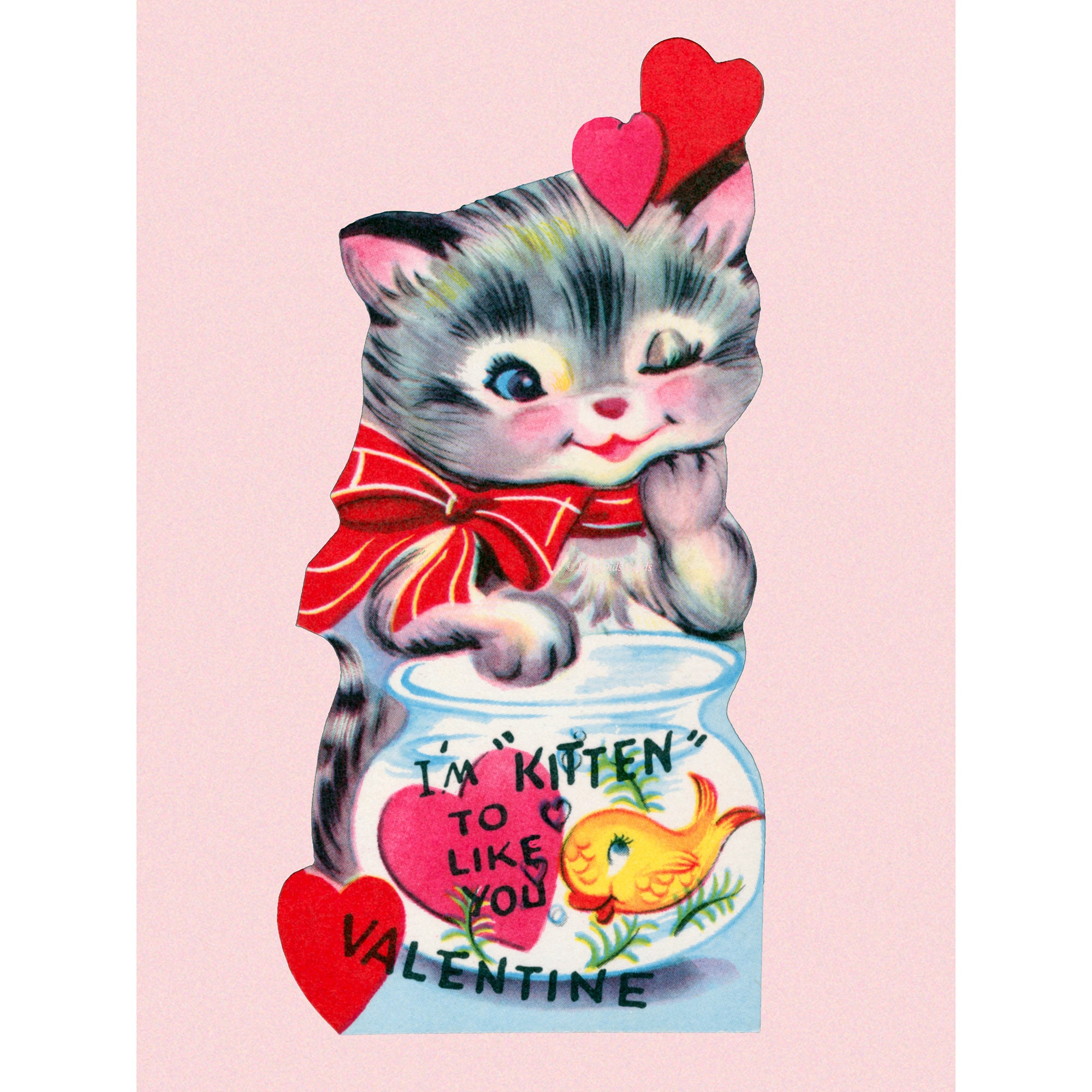Kitten Valentines Day
