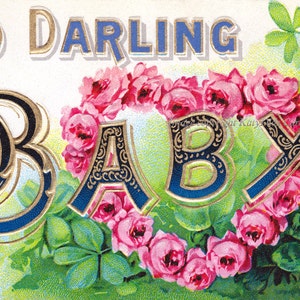 Darling Baby Print - Pink Roses Flowers - Baby Shower Gift - Nursery ...
