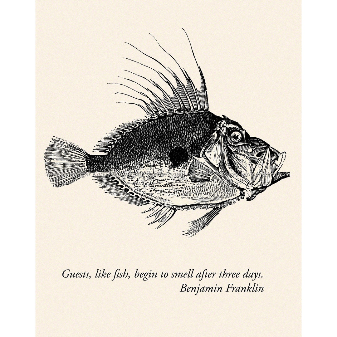 Fish Card Ben Franklin Quote - House Guest Gift Thanks - Thank You ...
