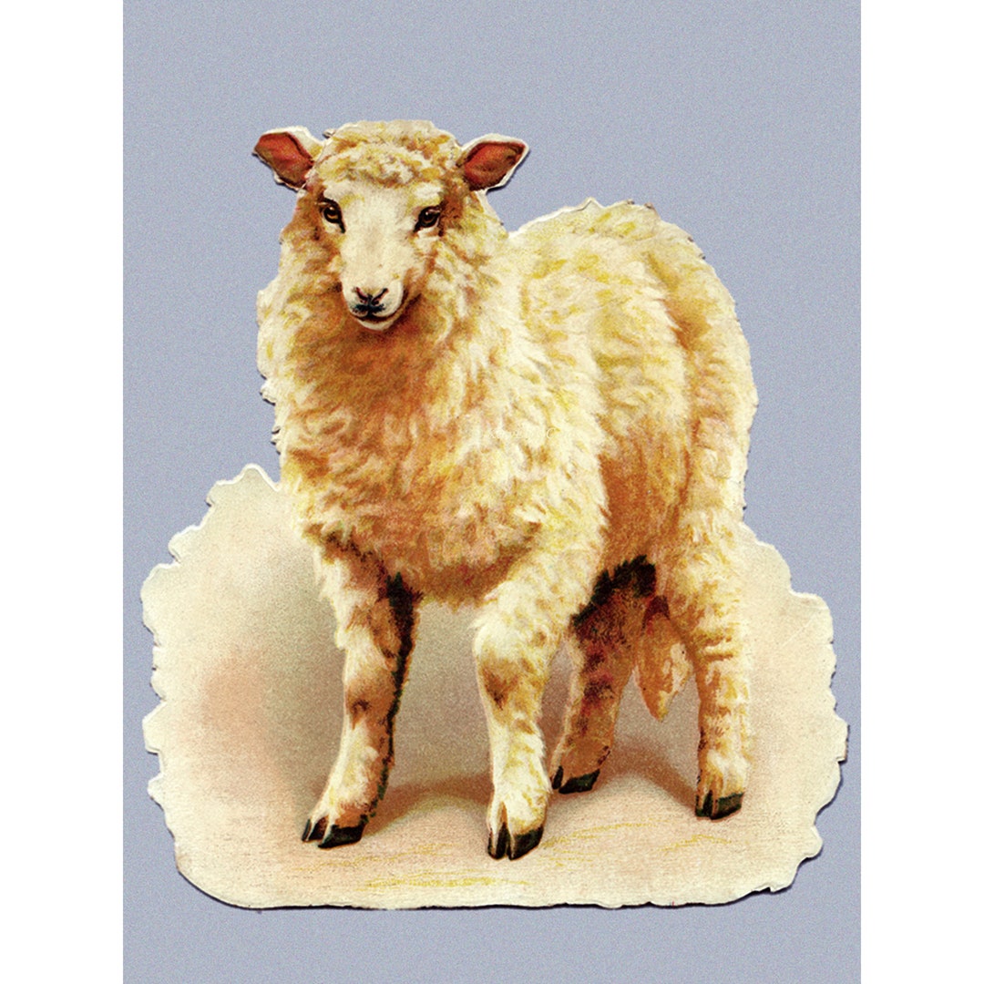 Sheep Card Lamb Notecard Vintage Style - Etsy