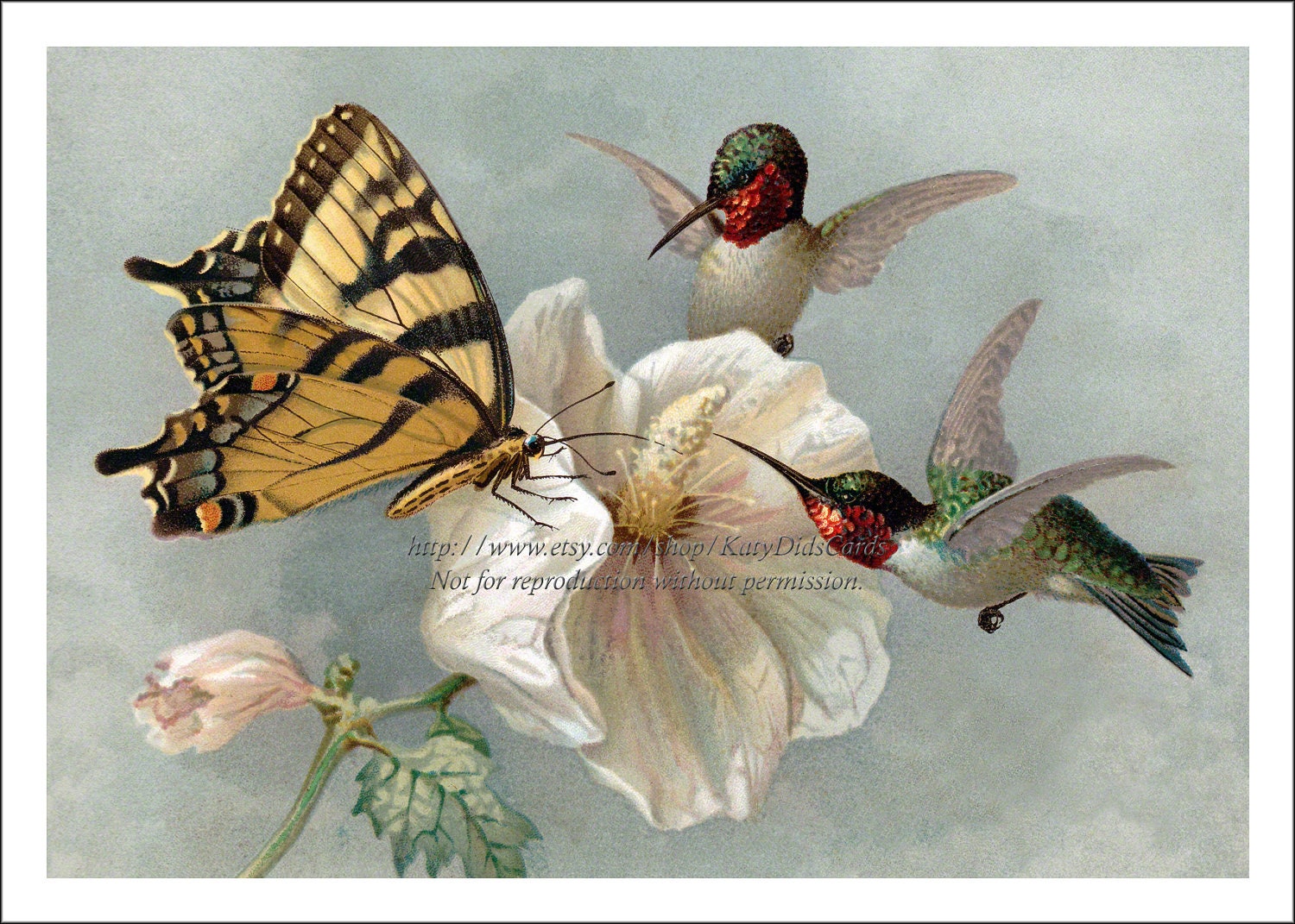 Hummingbird Butterfly Print Ruby Throated and Swallowtail on - Etsy