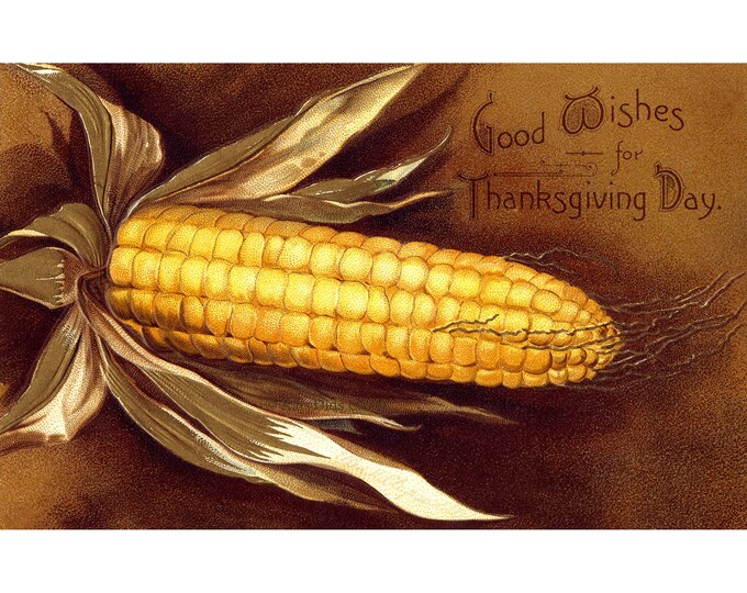 Thanksgiving Card Sheaf of Corn and Good Wishes Holiday Decor - Etsy