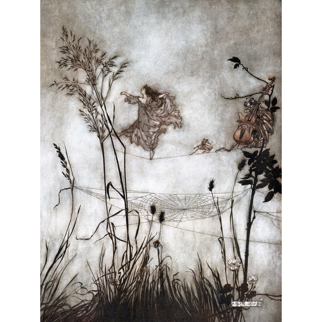 Fairy Print - Fae Dances on a Cobweb - Insects Play Instruments Cello ...