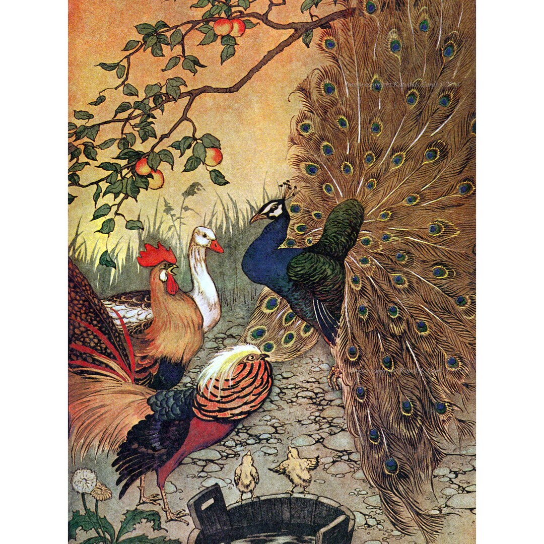 Peacock Greeting Card Aesops Fables Illustration Chickens - Etsy