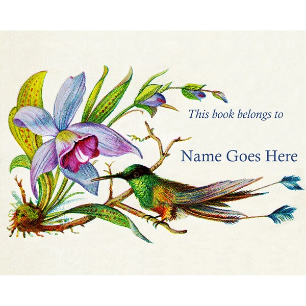 Book Plates Stickers - Etsy