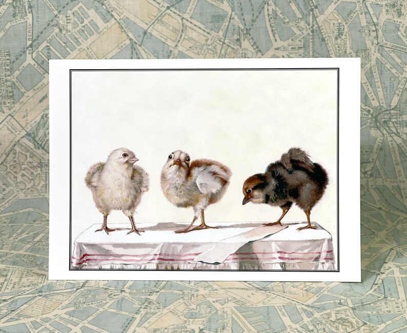 Chicken Card - Three Little Chicks on a Table Notecard - Farm Life ...