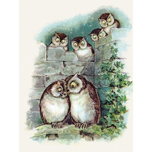 Owl Greeting Card - Loving Owls Notecard - Wedding Anniversary Shower ...