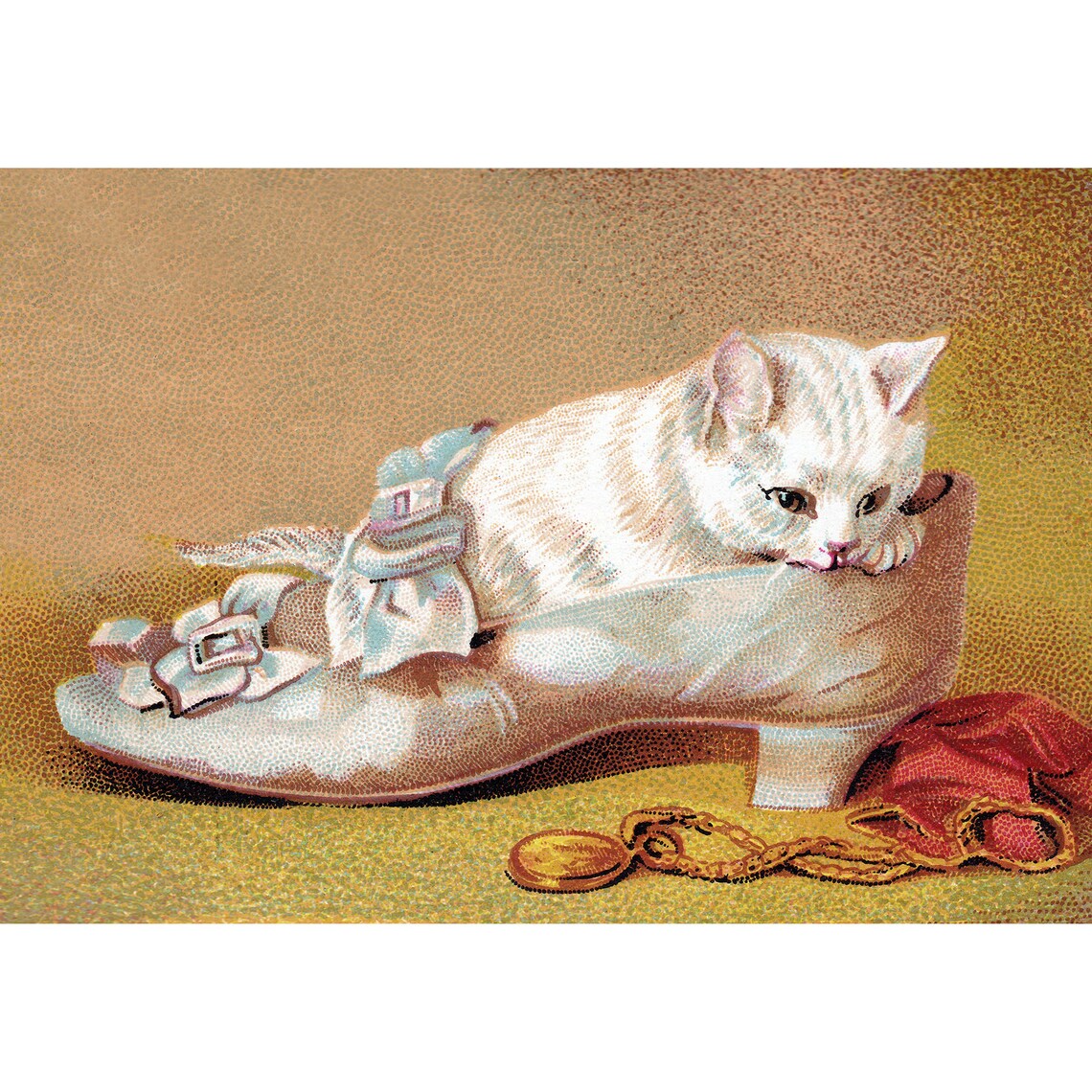 Kitten in Shoe Card White Cat Repro Greeting Card From - Etsy
