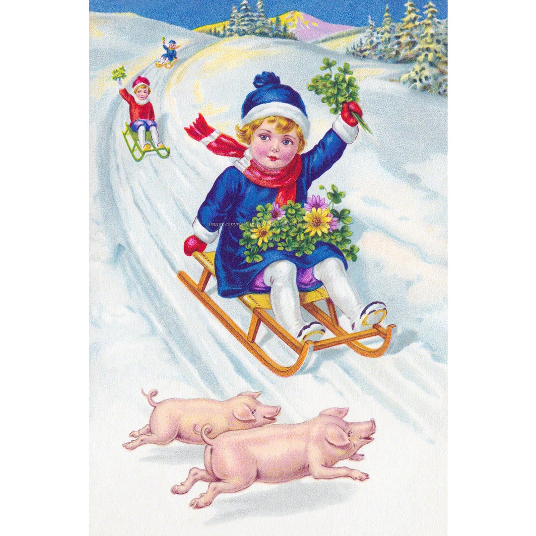 Pig Holiday Card - Girl Sled Rides With Pigs - Christmas New Year God ...