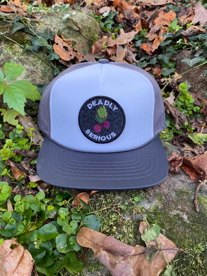 Beets Are Deadly Serious Handmade Iron-on Patch or Foam - Etsy