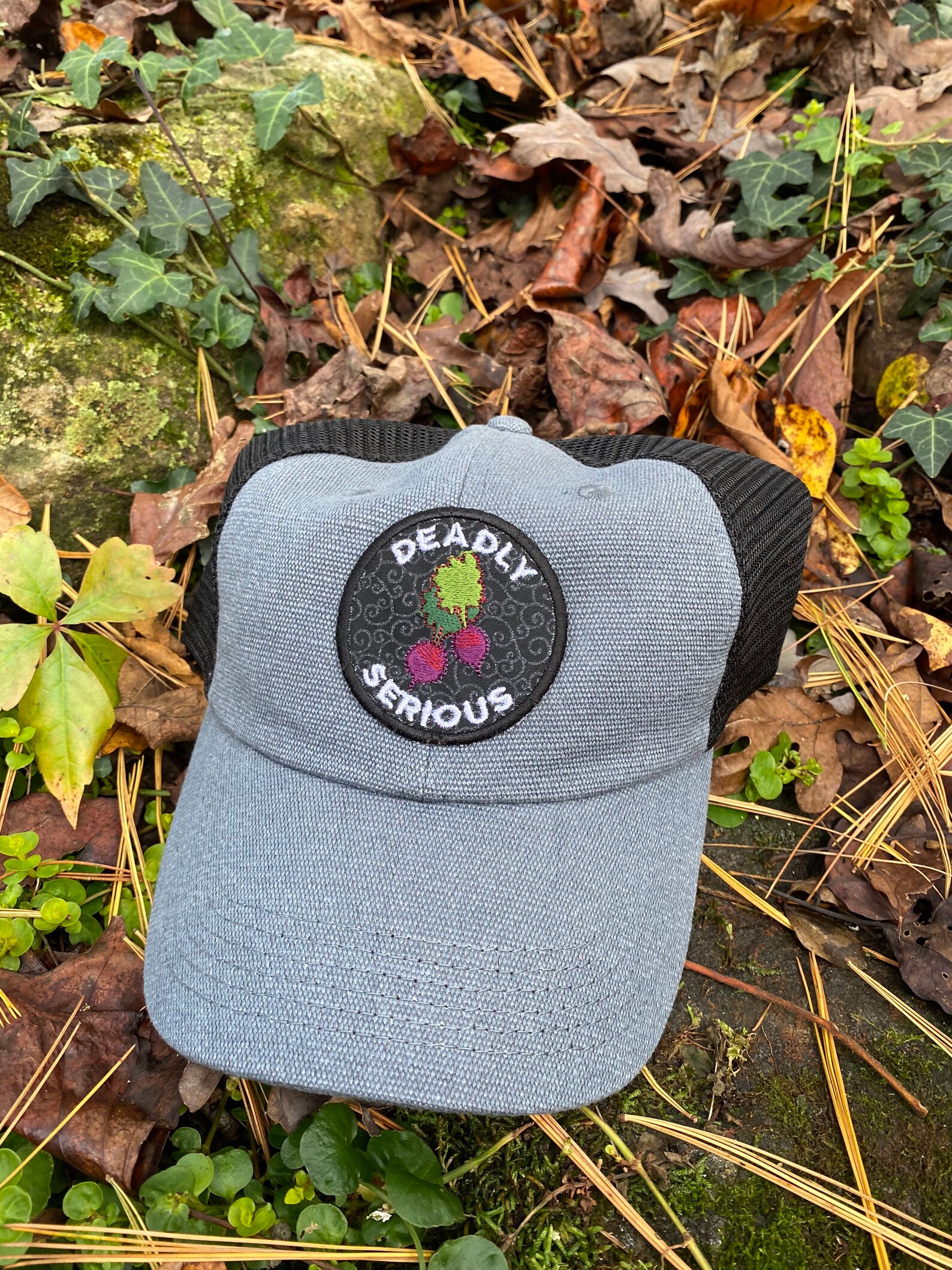 Beets Are Deadly Serious Handmade Iron-on Patch or Foam - Etsy