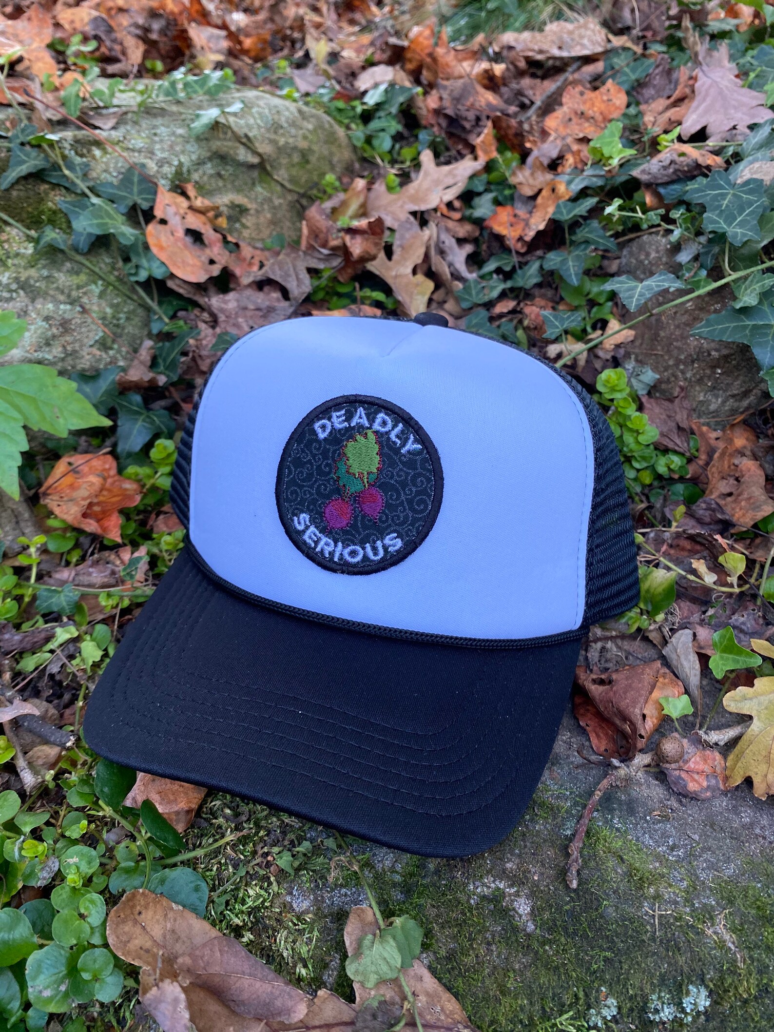 Beets Are Deadly Serious Handmade Iron-on Patch or Foam - Etsy