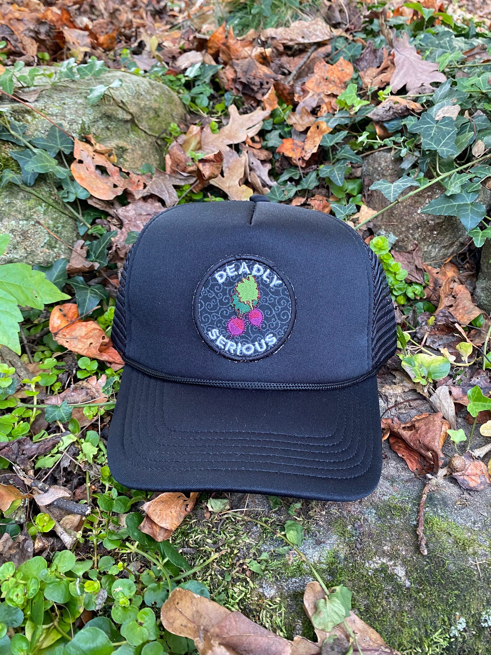 Beets Are Deadly Serious Handmade Iron-on Patch or Foam - Etsy