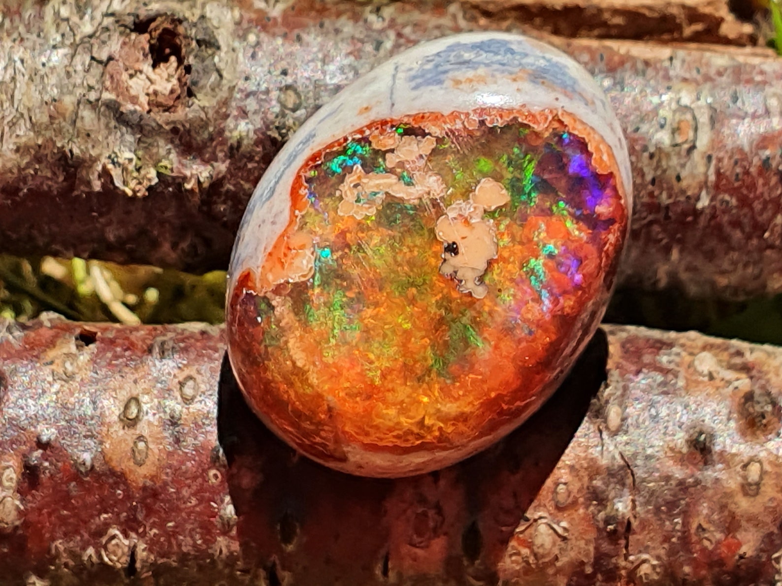 16.5mm Mexican Cantera Opal With Rainbow Fire 10ct 16.5 by 13 - Etsy