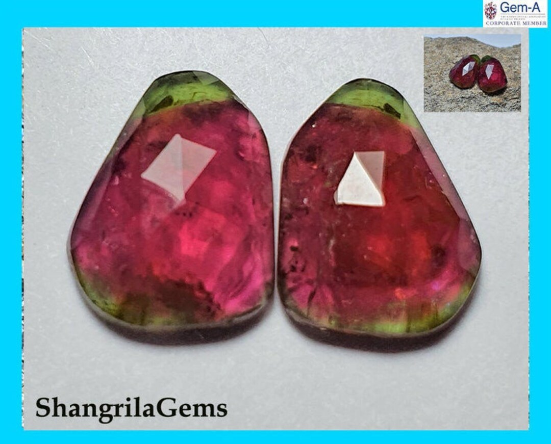 4.92ct 11.5mm Pair Watermelon Tourmaline Pink Green Rose Cut Gems 11 ...