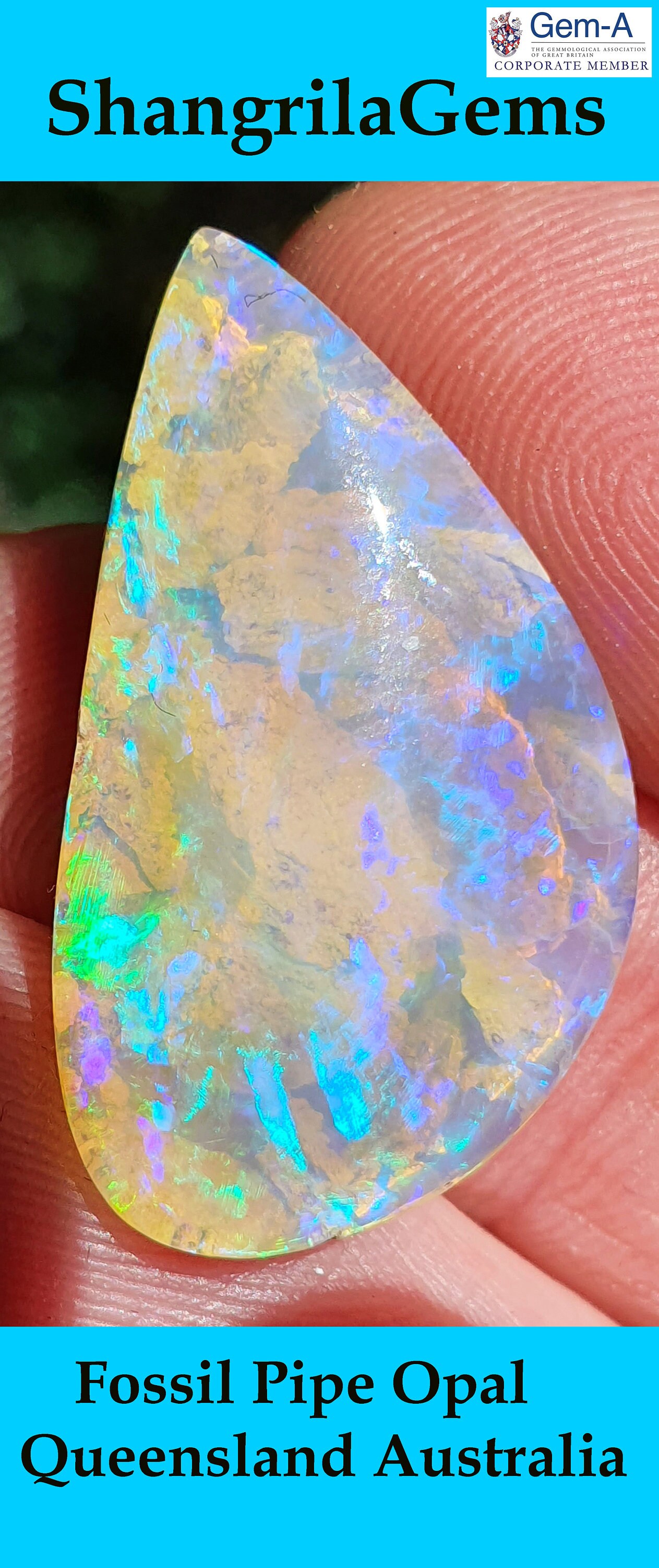 25mm Fossil Opal freeform 25 by 14.5 by 6mm Winton Queensland | Etsy