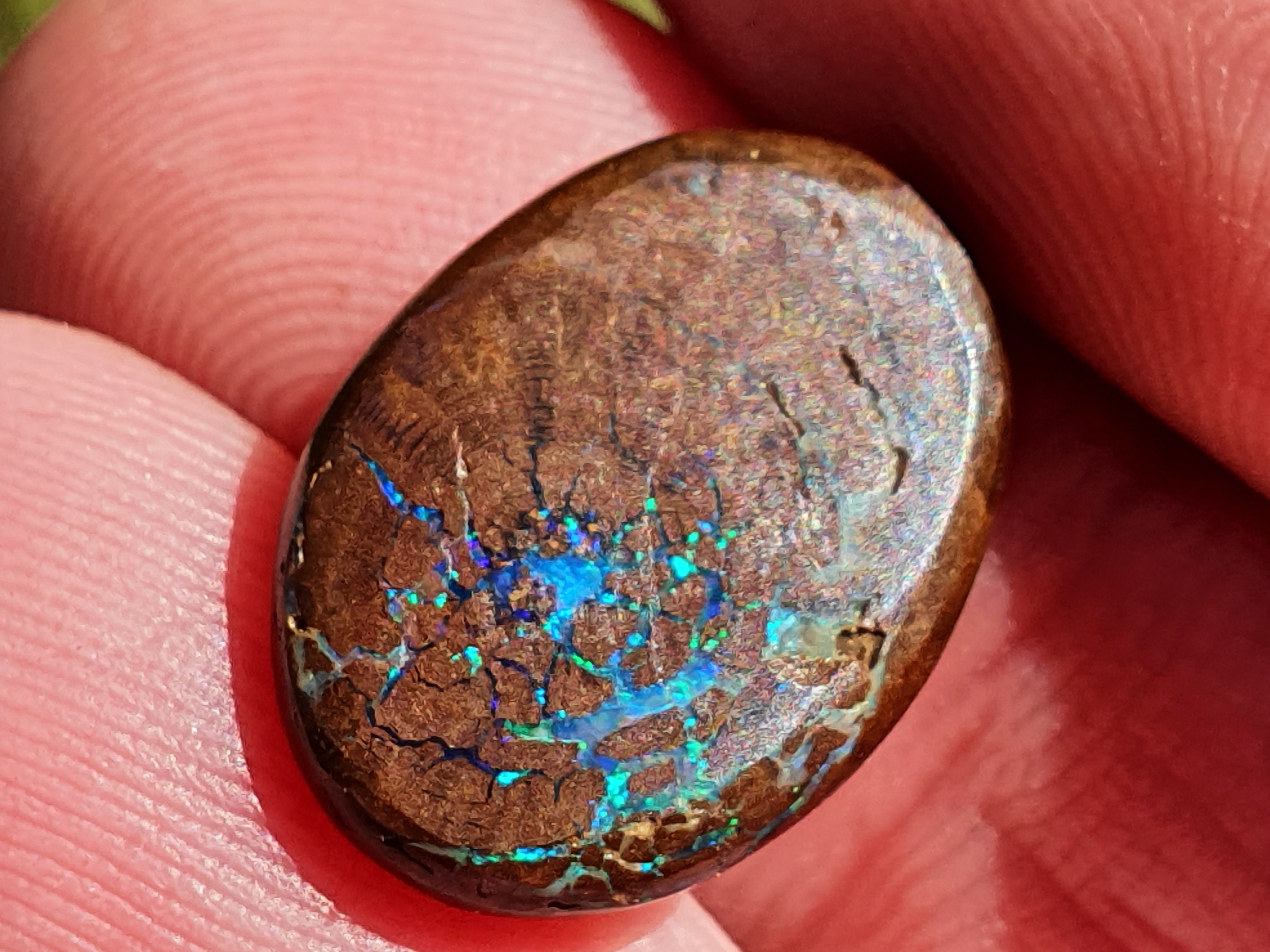 16mm oval BOULDER OPAL 16 by 13 by 3.5mm green blue fire | Etsy