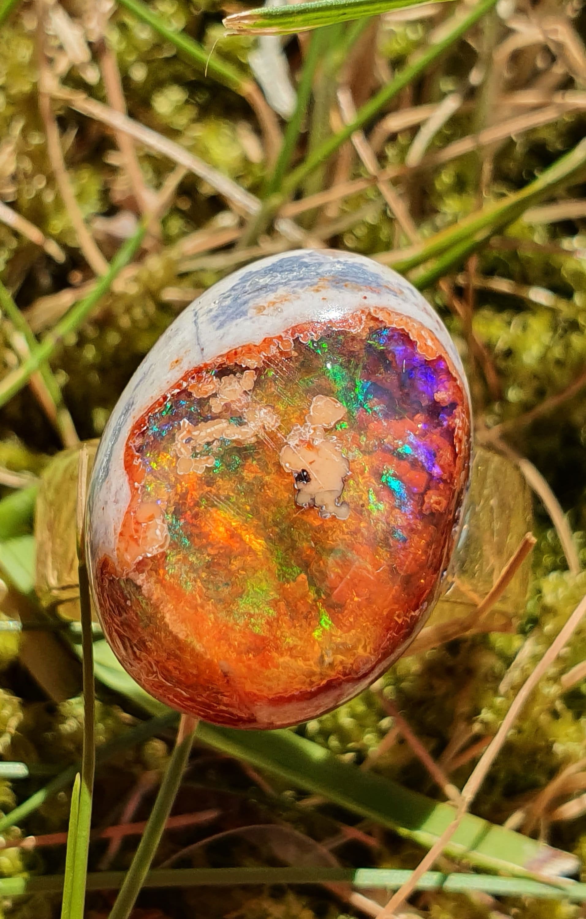 16.5mm Mexican Cantera Opal With Rainbow Fire 10ct 16.5 by 13 - Etsy