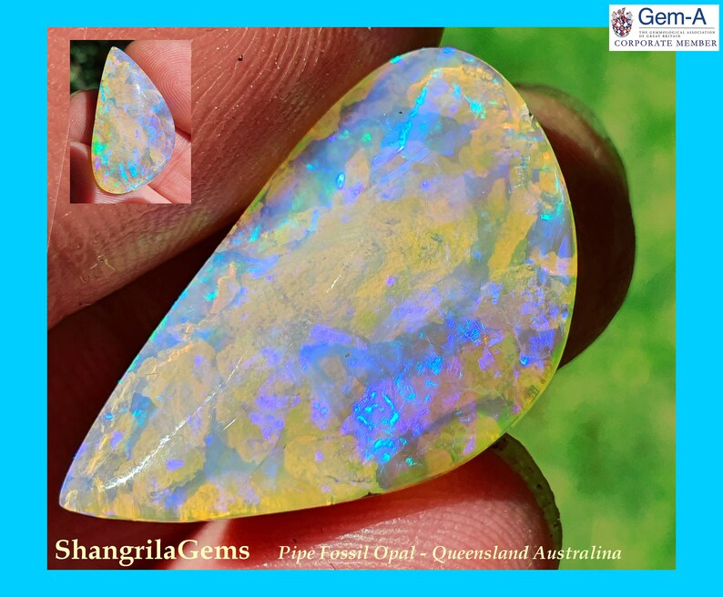 25mm Fossil Opal freeform 25 by 14.5 by 6mm Winton Queensland | Etsy