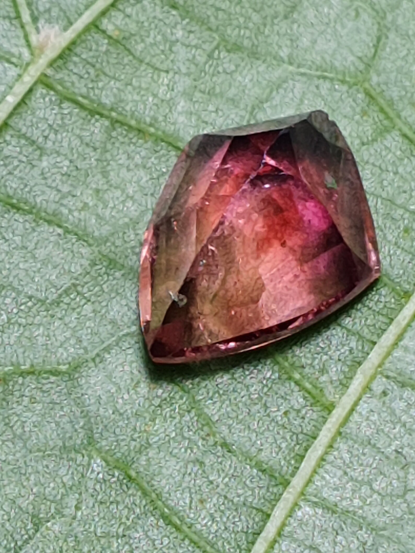 10.7mm Pink Parti Tourmaline Shield Shape Freeform 2.27ct 10.7 | Etsy