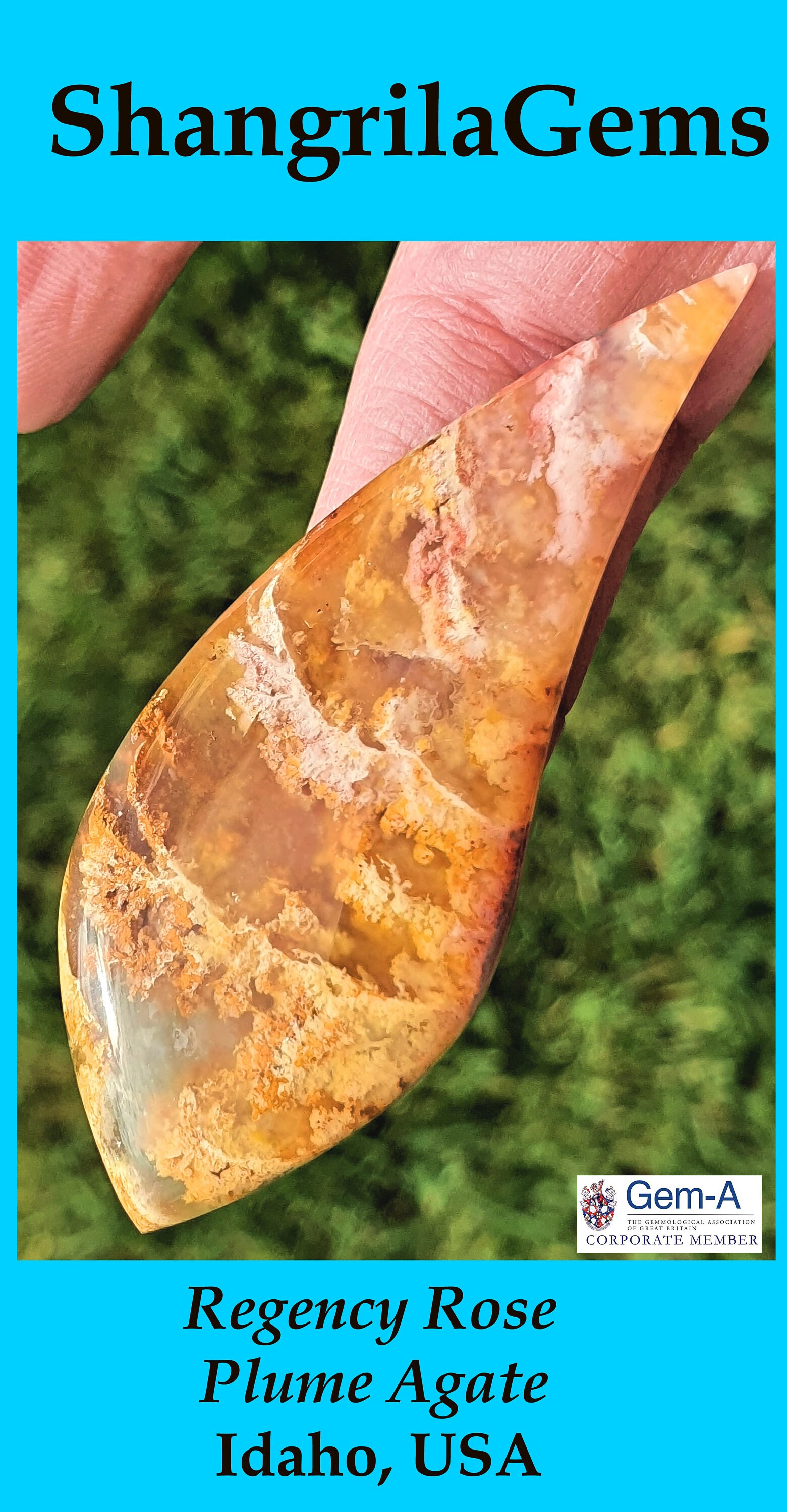 62mm Regency Rose plume Agate cabochon Idaho USA 62 by 24 by | Etsy