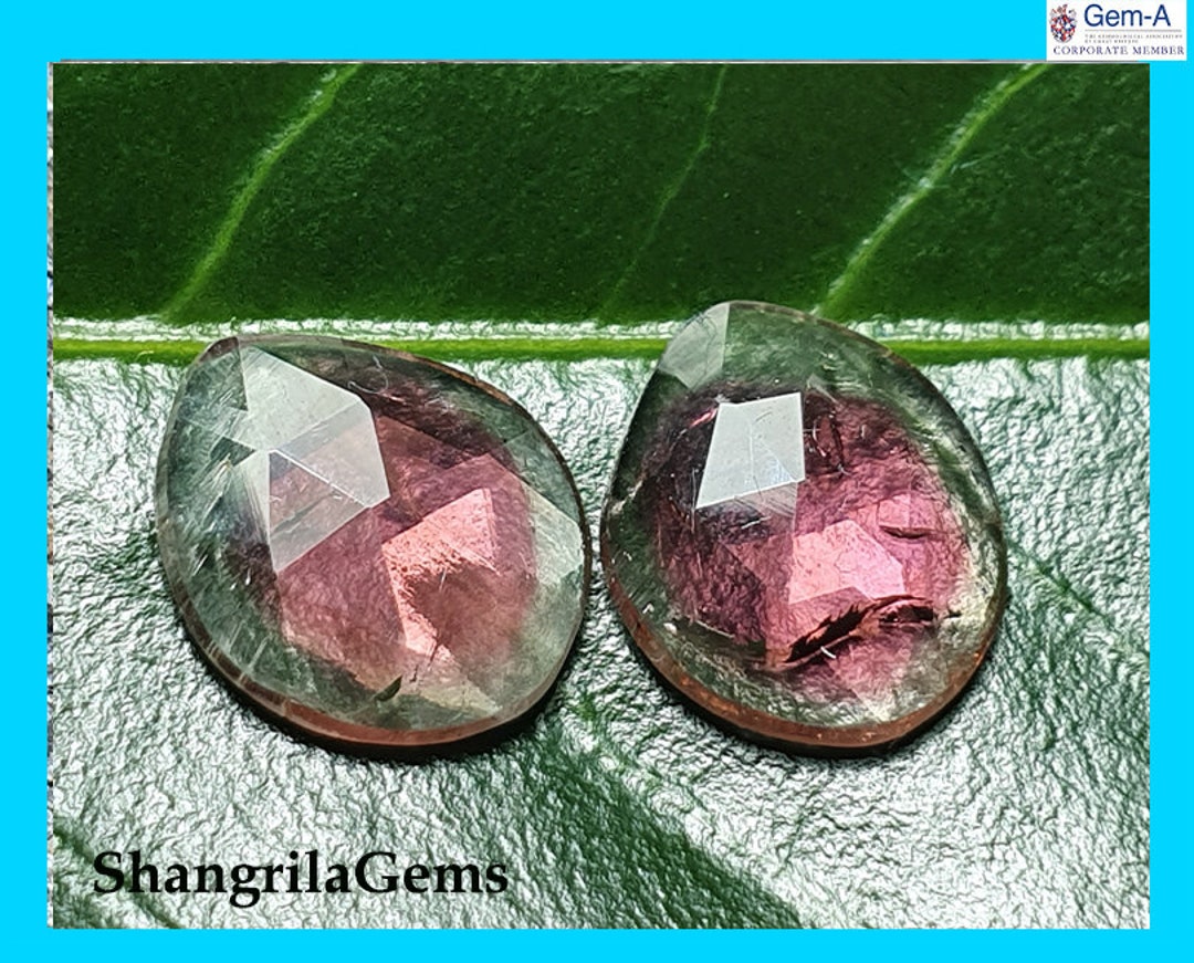 2.85ct 10.1mm Pair Watermelon Tourmaline Pink Green Rose Cut Gems 10.1 ...