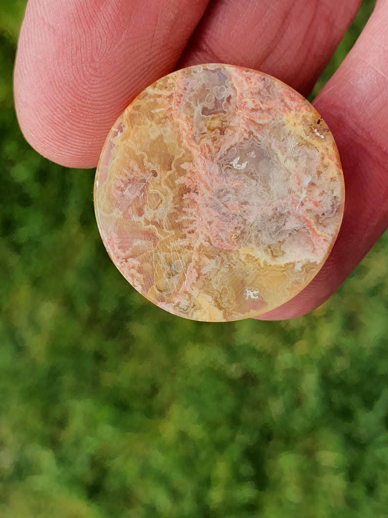 26mm Regency Rose Plume Agate Round Cabochon Idaho USA 26mm by - Etsy