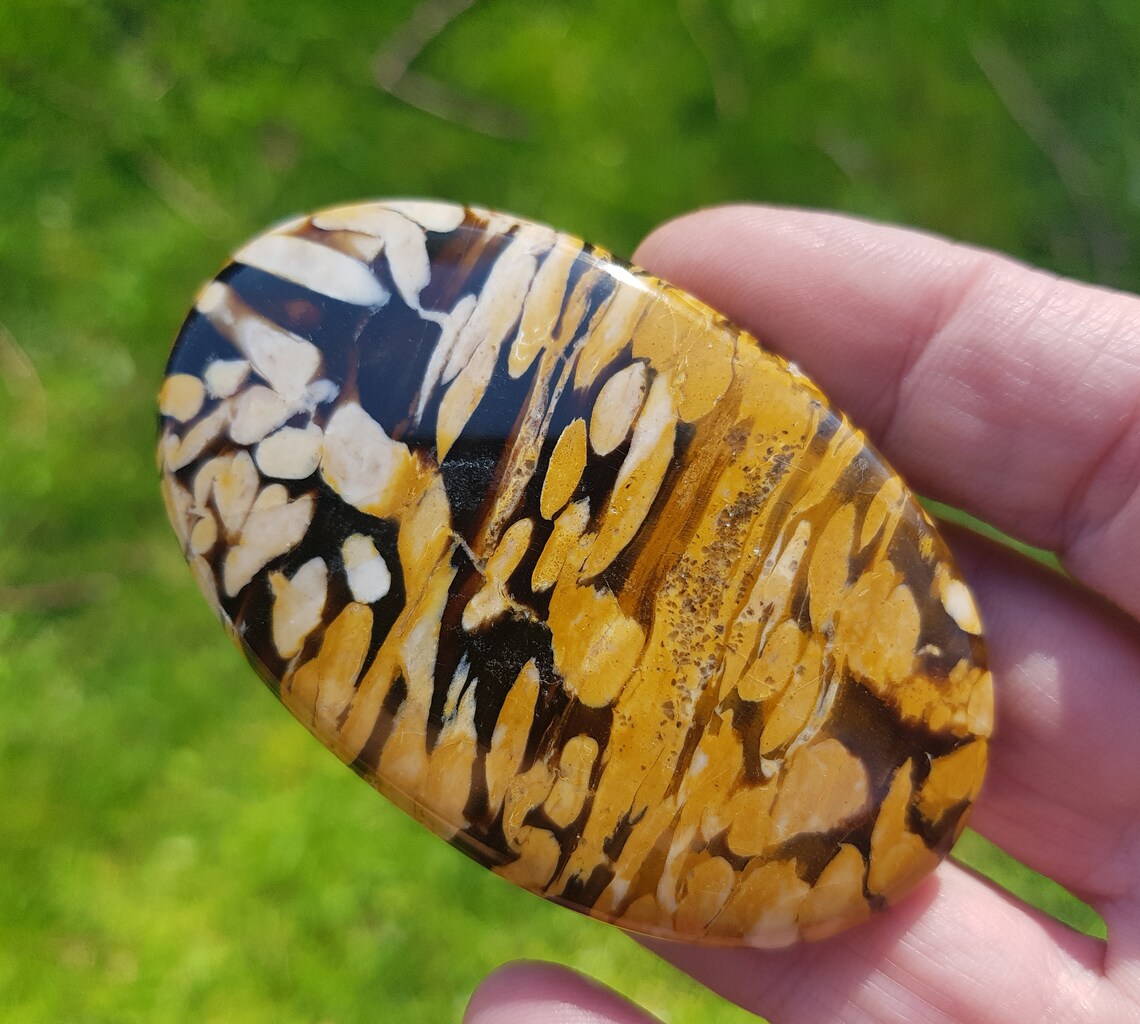 68mm Peanut Wood Jasper Oval Petrified Wood Cabochon 148ct - Etsy