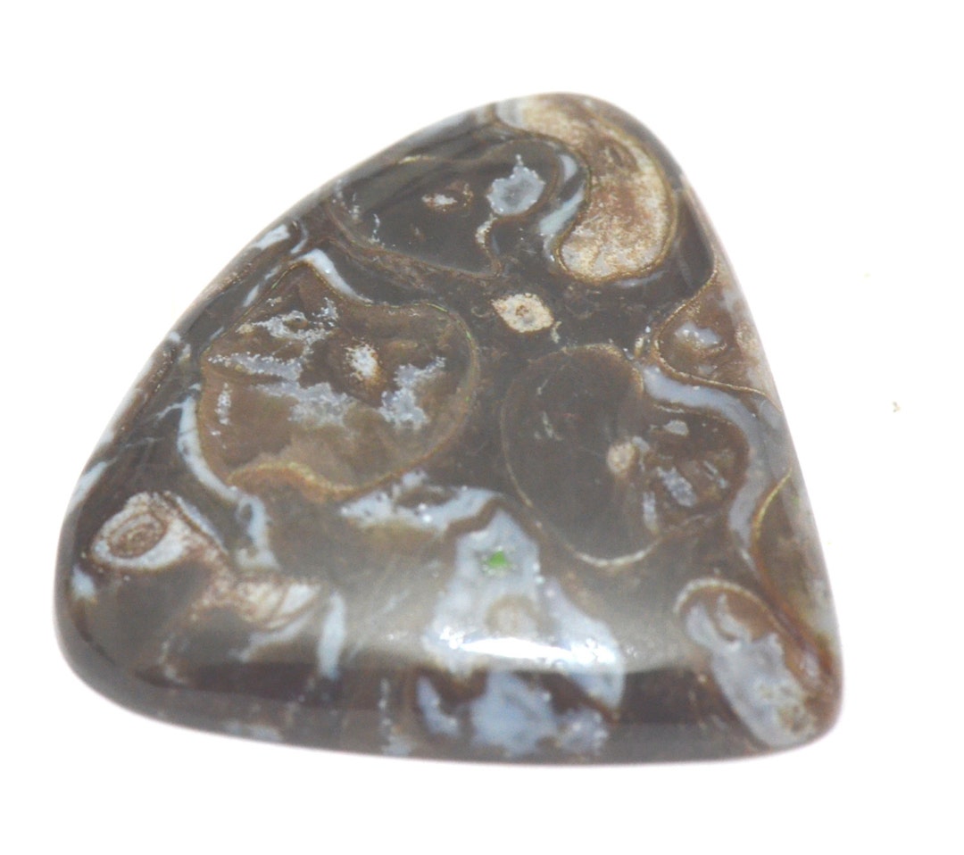 35mm AAA Colus Fossil Agate Cabochon Drop Shape Chalcedony, Pyrite ...