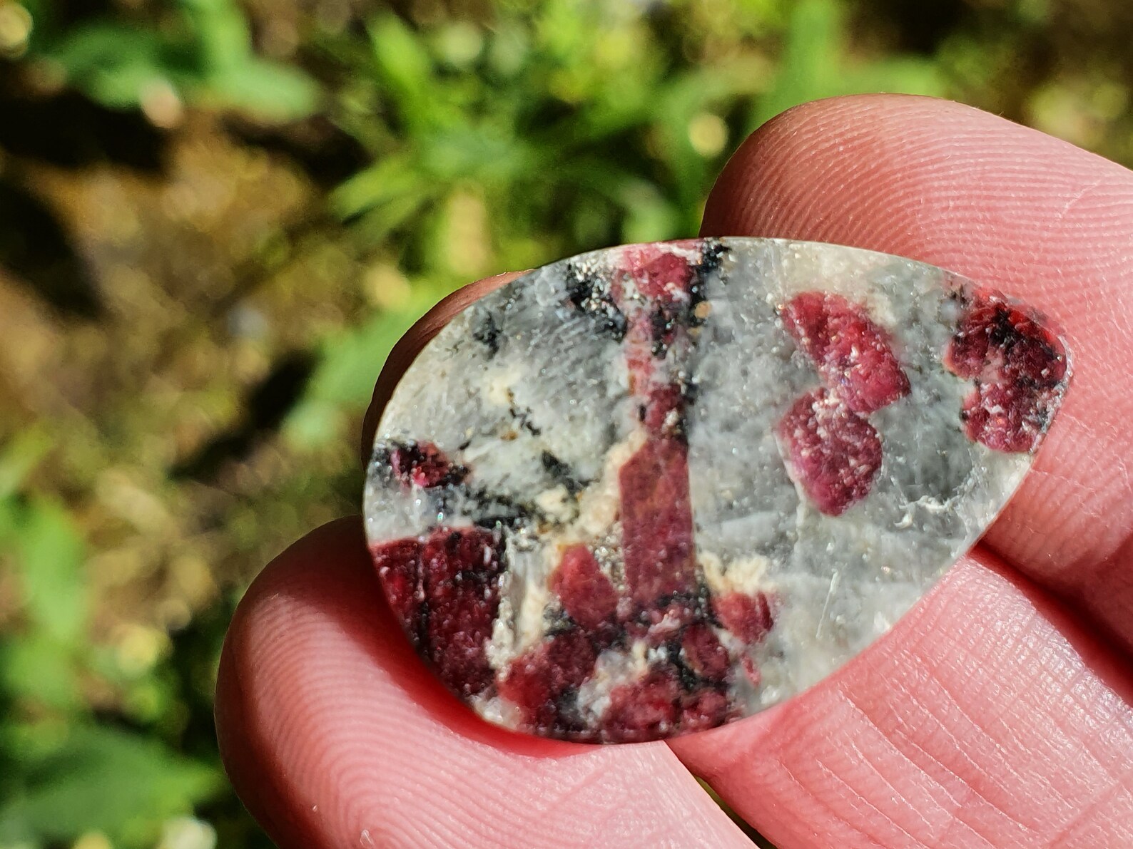 29mm 24ct Eudialyte drop pear ruby red cabochon AAA collector | Etsy