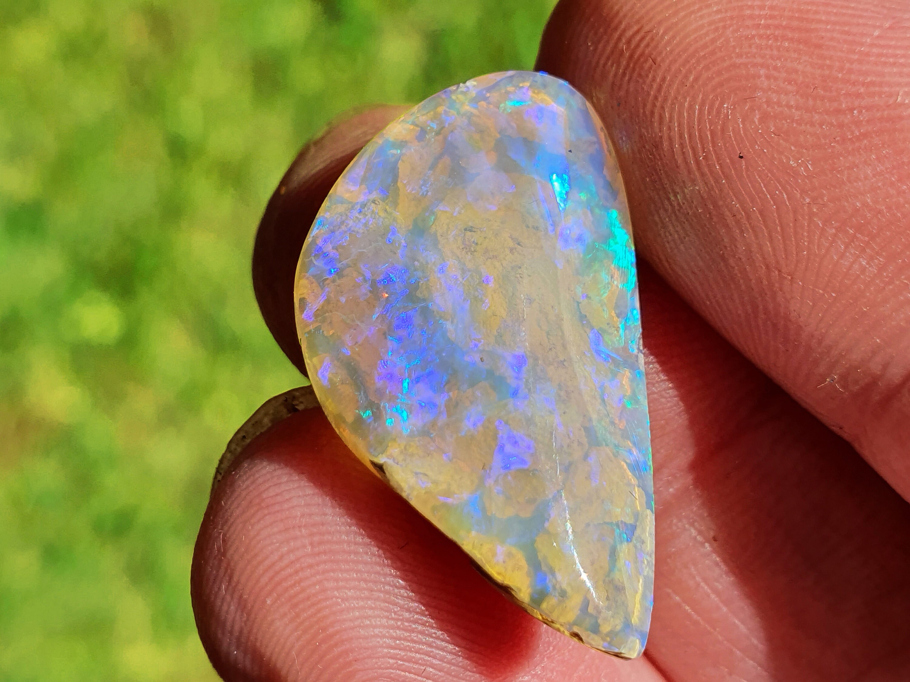 25mm Fossil Opal freeform 25 by 14.5 by 6mm Winton Queensland | Etsy