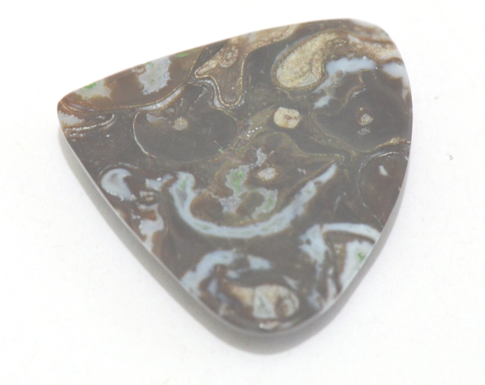 35mm AAA Colus Fossil agate cabochon drop shape chalcedony | Etsy