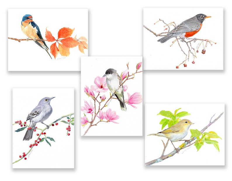 Colorful Watercolor Prints of North American Birds, Group of Five Blank ...