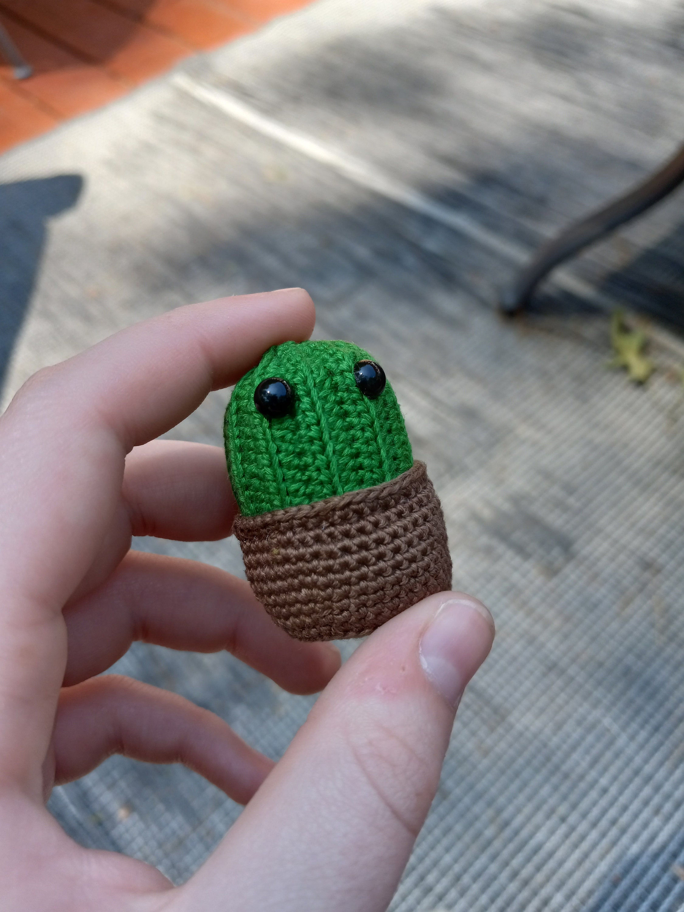 Crochet Mini Cactus Buddy Pattern - Etsy